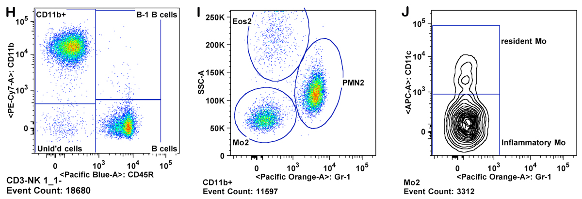 MPD: Donahue6: project protocol