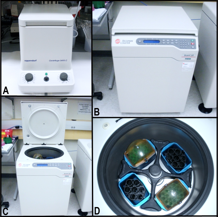 MPD: Mills1: project protocol