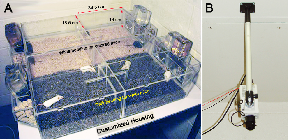 MPD: Rhodes1: project protocol